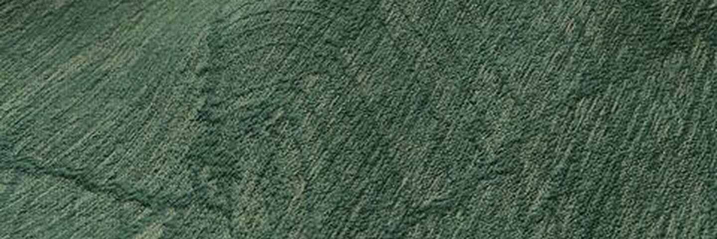 Biomimicry in Textile Design: How to Innovate with… | FibreGuard